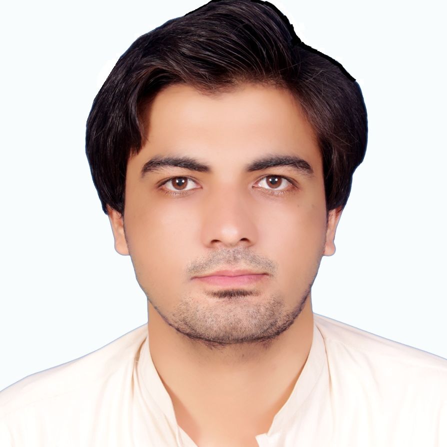 Muhammad Roshan Private Tutor from Dera ismail khan, Pakistan - $10/hr