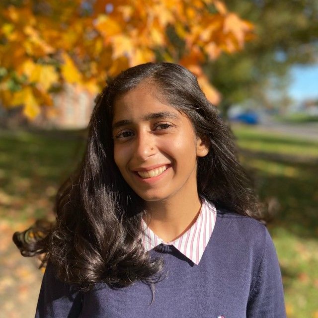 Ayesha Private Tutor from Valley stream, United States - $20/hr