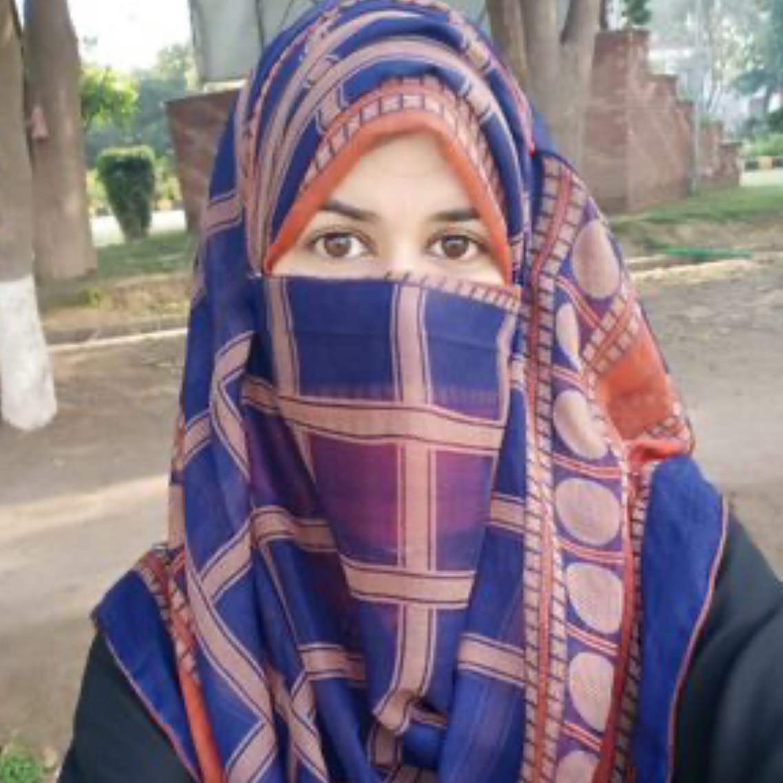 Zainab Private Tutor from Sahiwal, Pakistan - $5/hr