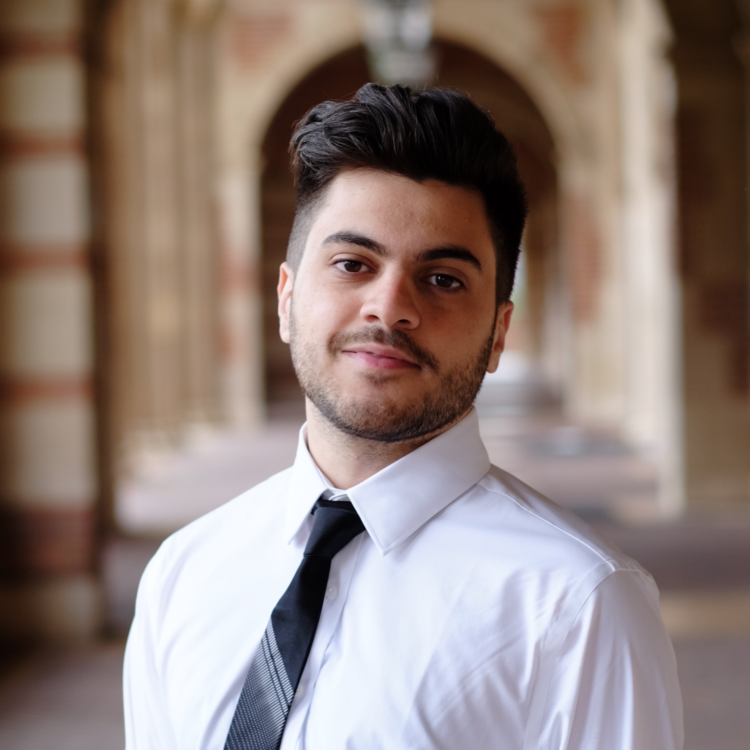 Amir Private Tutor from Los Angeles, United States - $20/hr