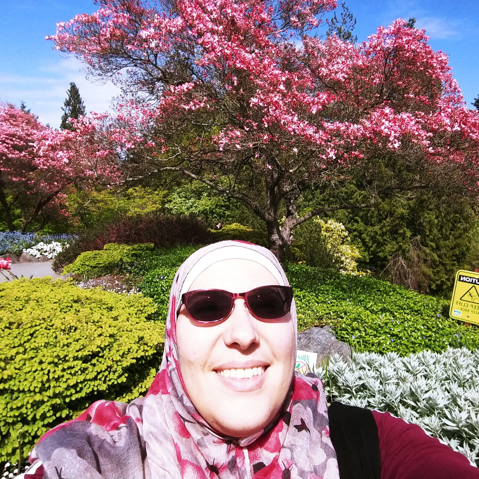 Neveen Private Tutor from Palmdale, United States - $35/hr