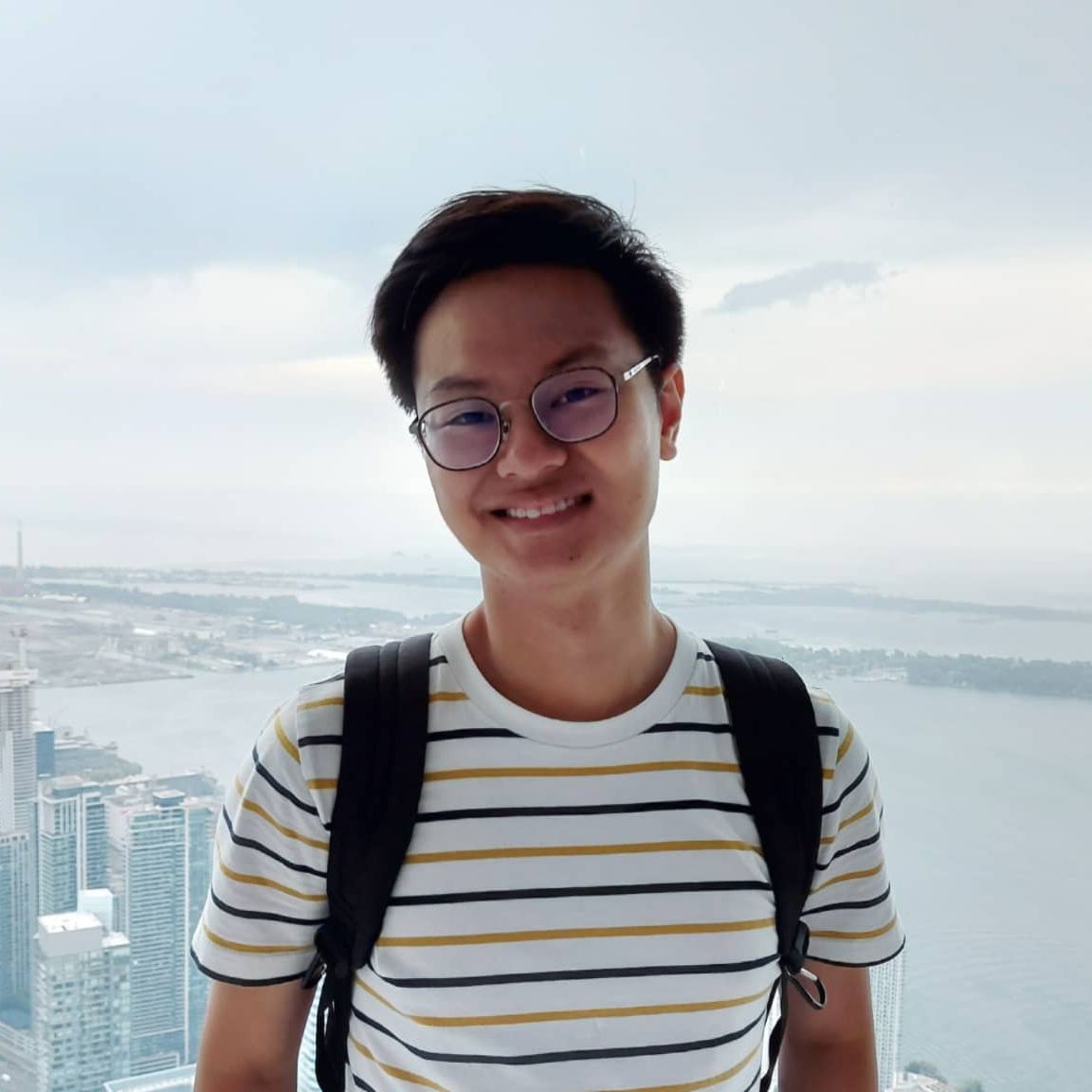 Ron Private Tutor from Toronto, Canada - $45/hr